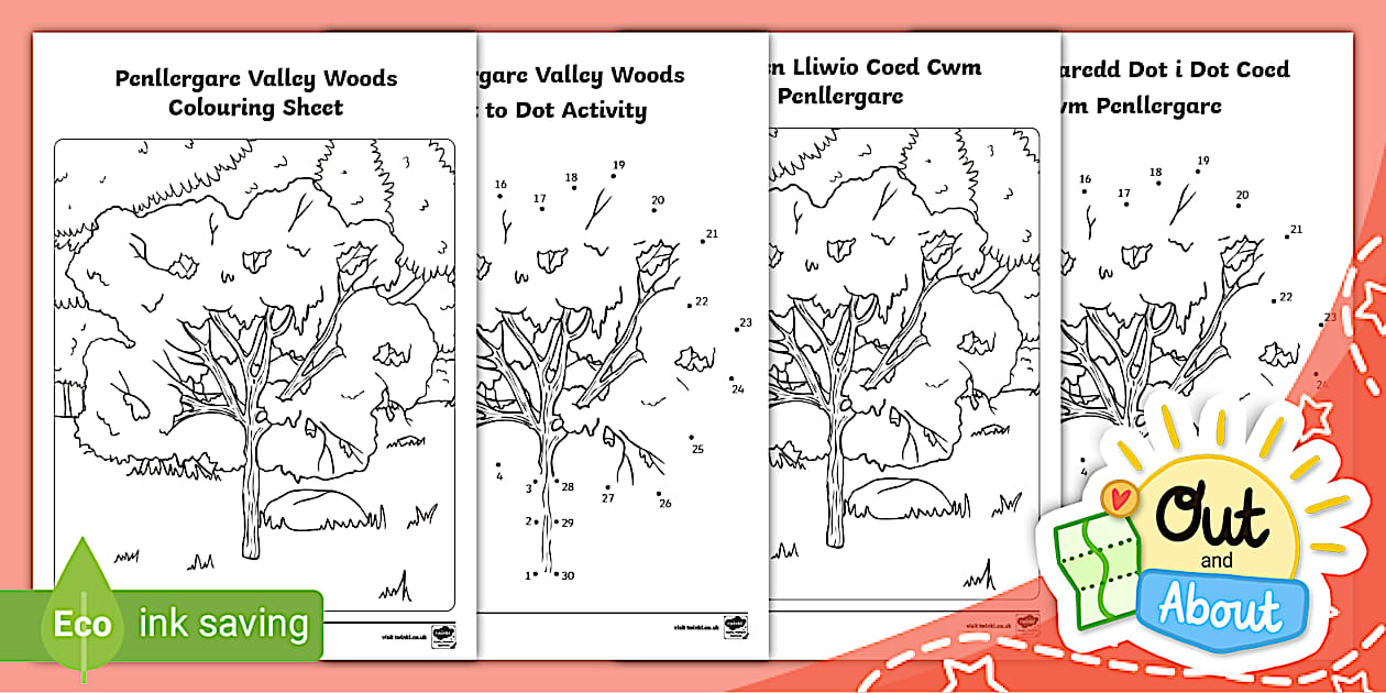 Penllergare Valley Woods Activity Pack – Twinkl Resources