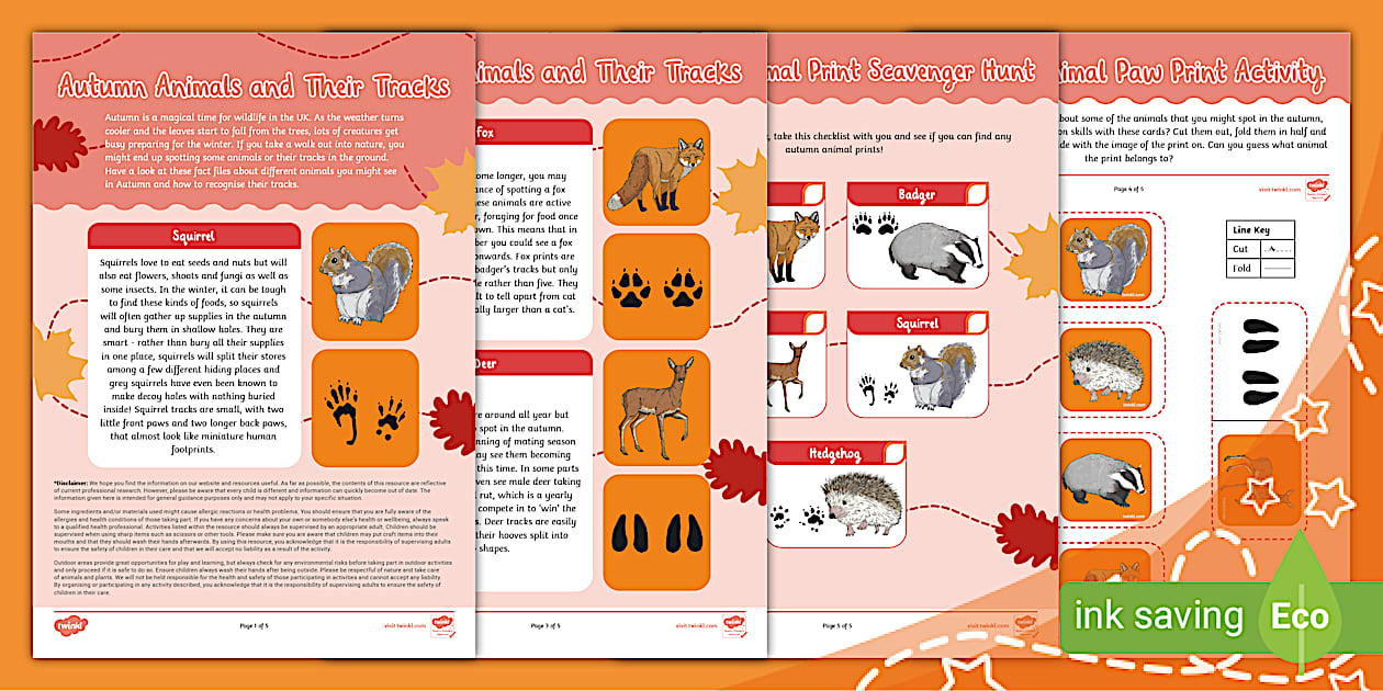 Animal Paw Print Matching Activity