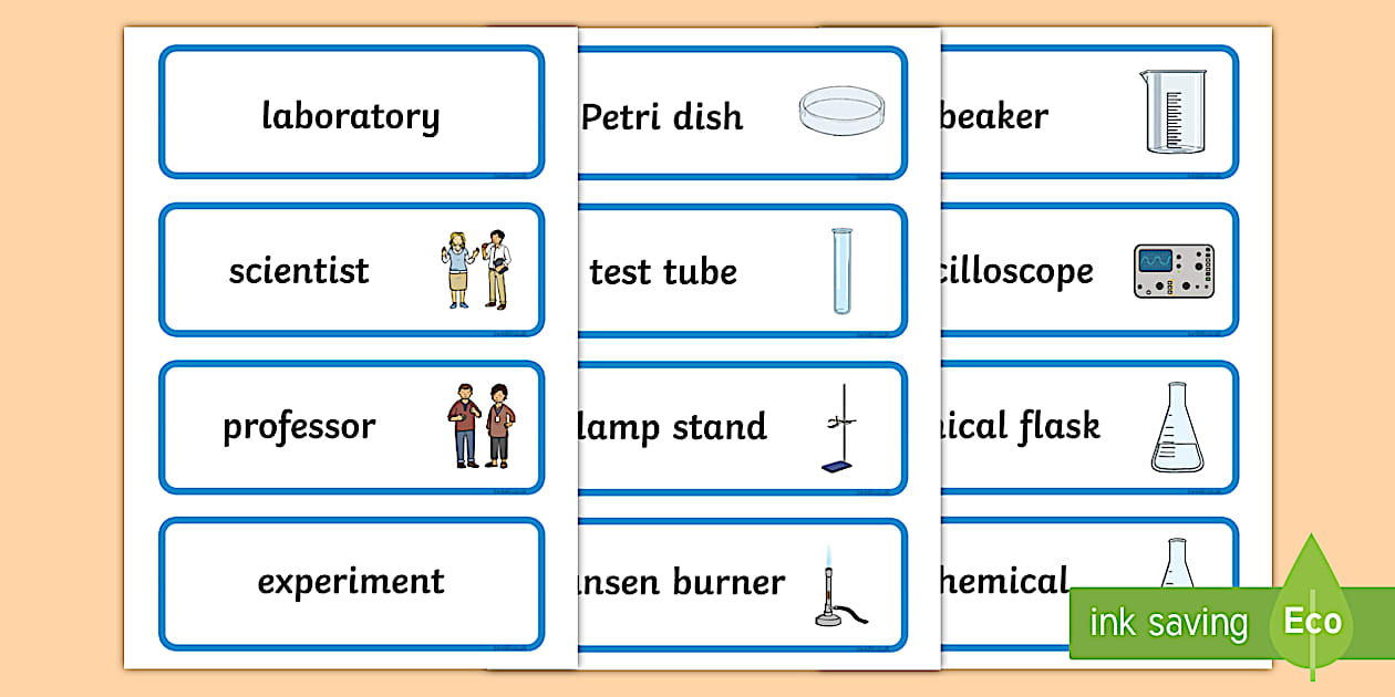 Editable Science Lab Role Play Word Cards (teacher made)