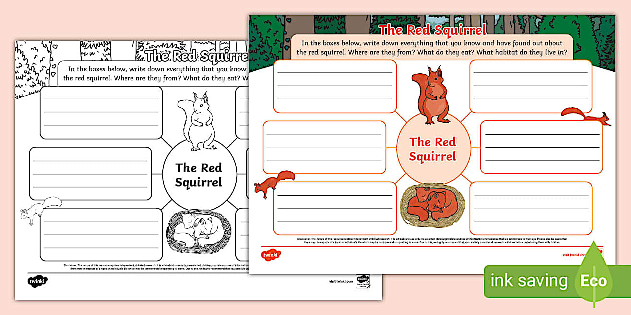 Red Squirrel Mind Map (teacher made) - Twinkl