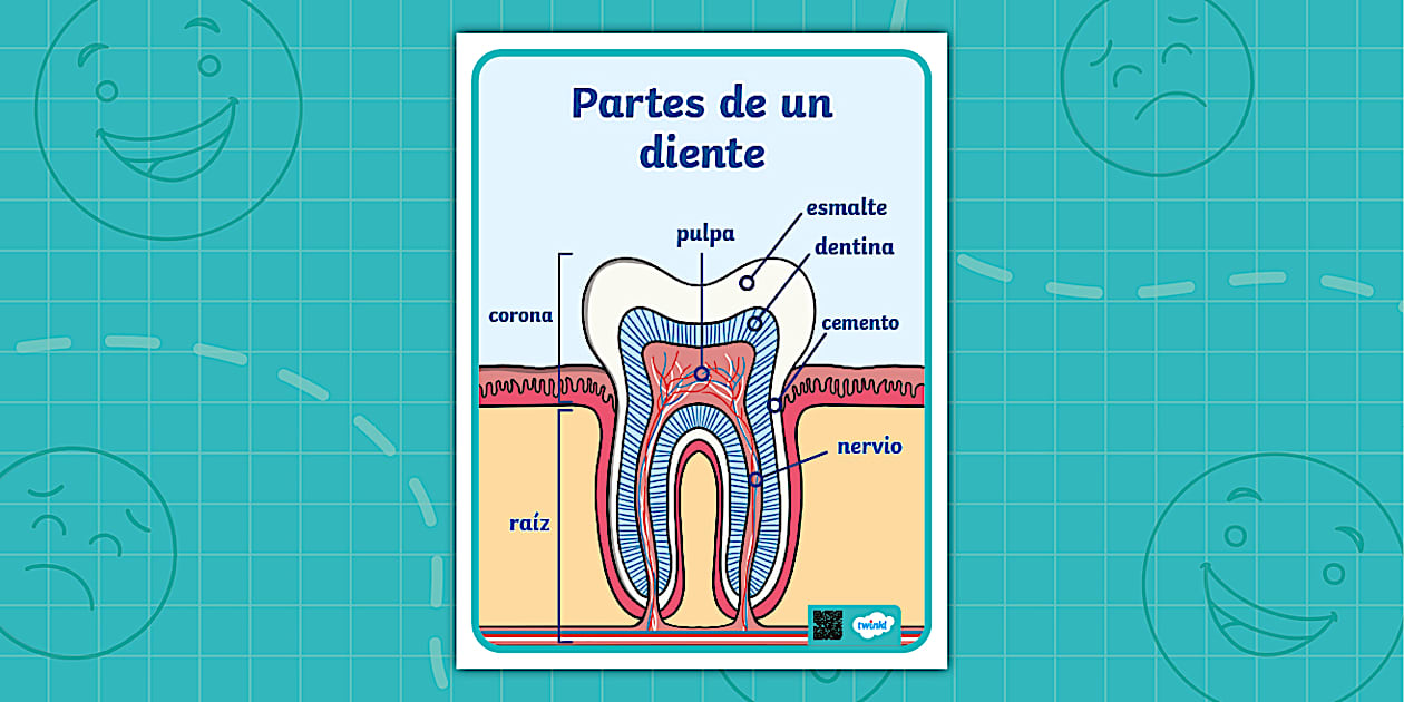 Higiene dental - cartel (Teacher-Made) - Twinkl
