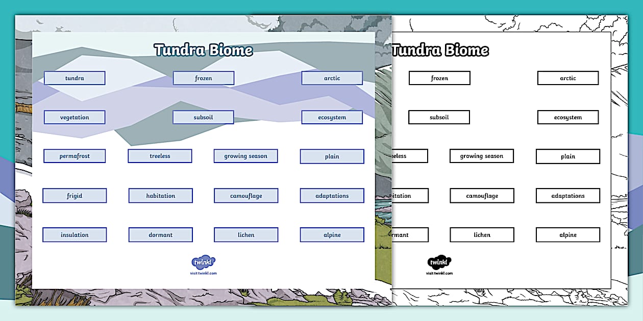Tundra Biome Vocabulary Mat