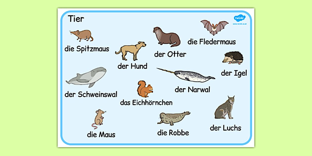 German Animals Word Mat