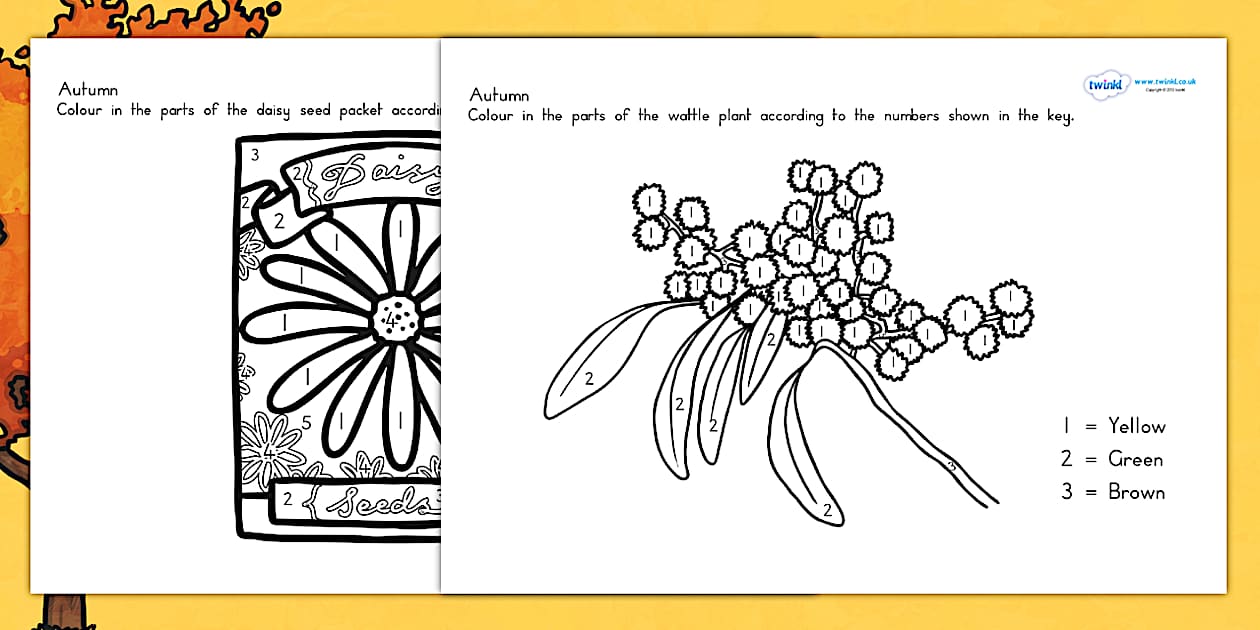 Autumn Colour by Number Worksheet (professor feito) - Twinkl