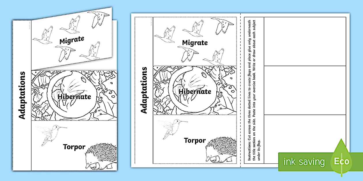 Behavioural Adaptations Flaps Writing Flaps – AC9S5U01