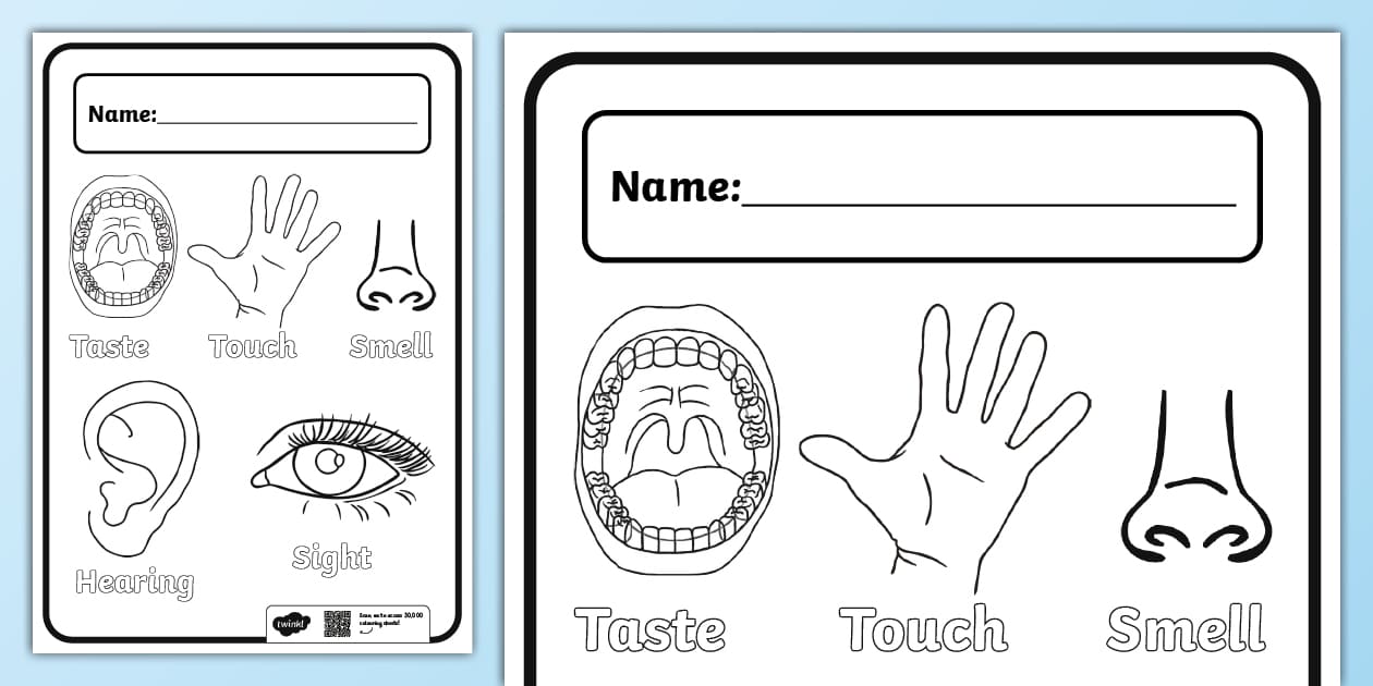 Five Senses Themed Colouring Book Cover| Twinkl Book Cover