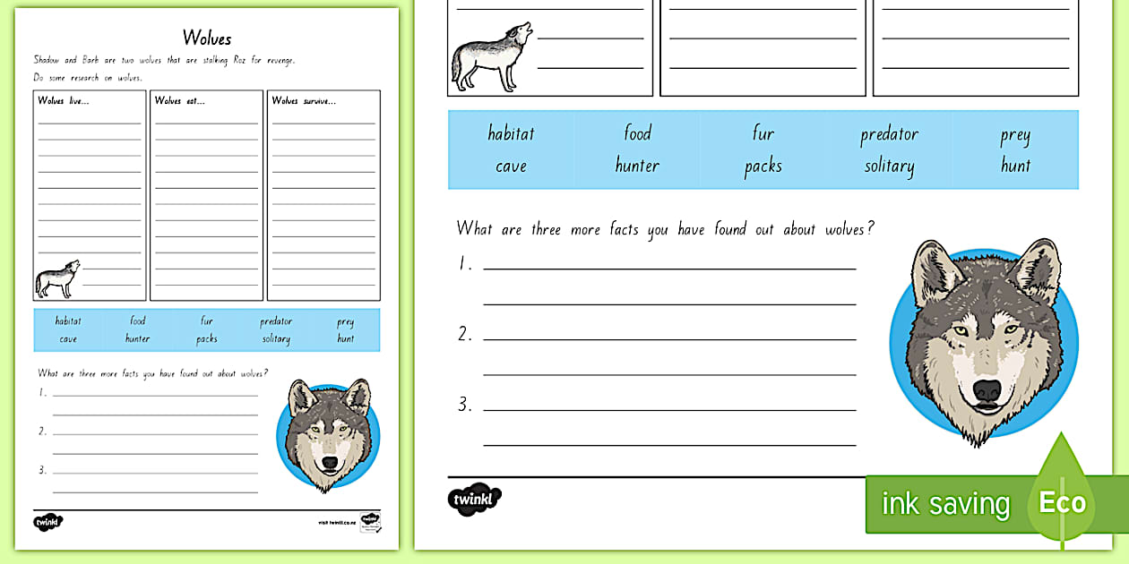 Term 2 Week 4 Year 3 & 4 Chapter Chat Wolf Research Activity to Support