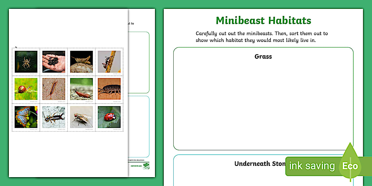 Minibeast Habitat Sorting Worksheet (teacher made) - Twinkl