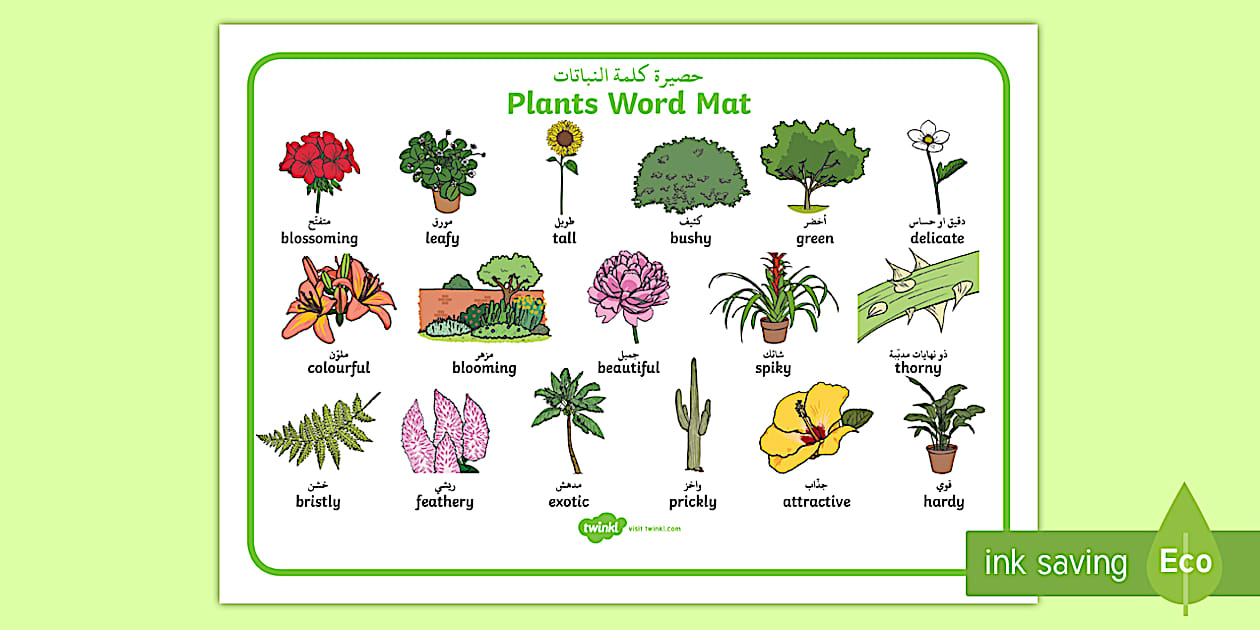 Plant Themed Adjectives Word Mat Word Mat - Arabic/English
