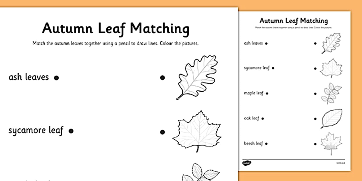 Autumn Leaves Matching Worksheet - Autumn Worksheet - Twinkl