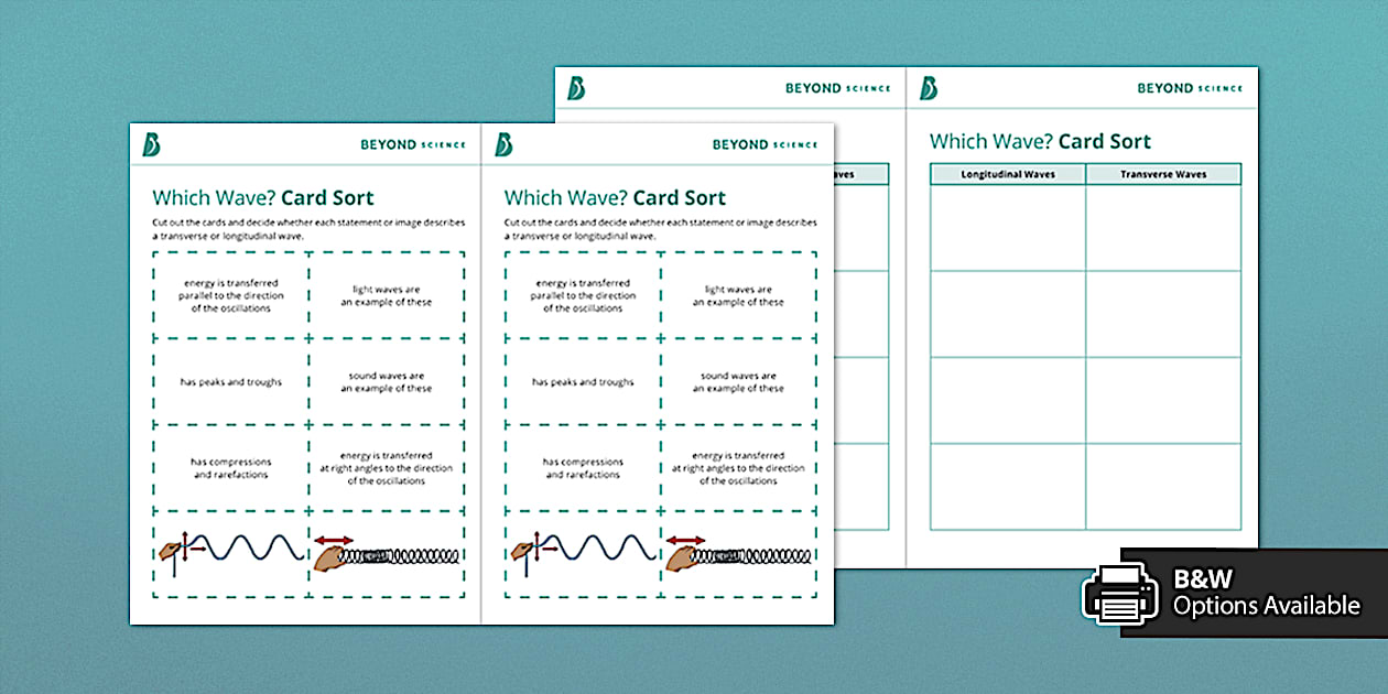 Longitudinal & Transverse Waves Card Sort | Science | Beyond