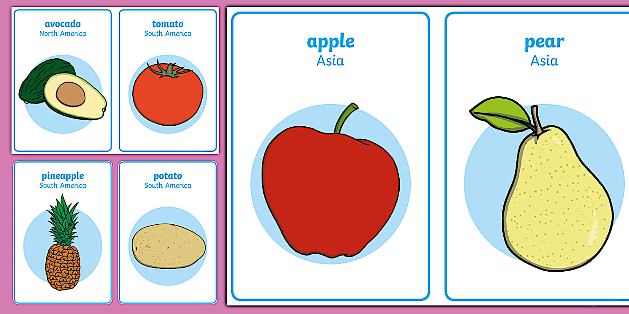 Cursive Fruit and Their Continents Cards (professor feito)