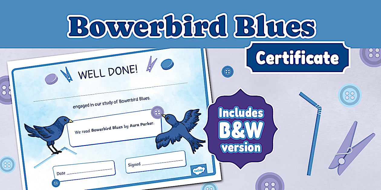 Bowerbird Blues Certificate | Twinkl
