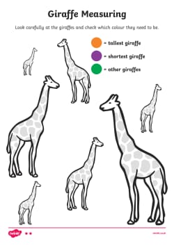 FREE! - Color by Size Worksheet / Worksheet Pack, worksheet