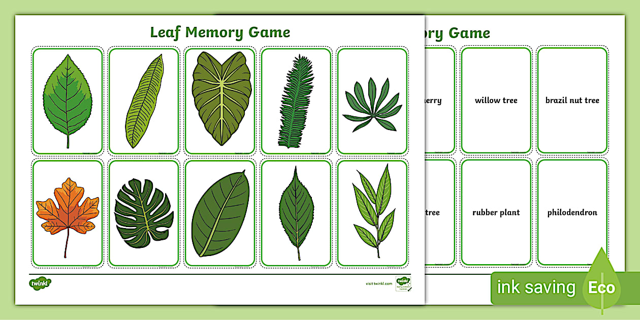 Leaf Memory Game (teacher made) - Twinkl