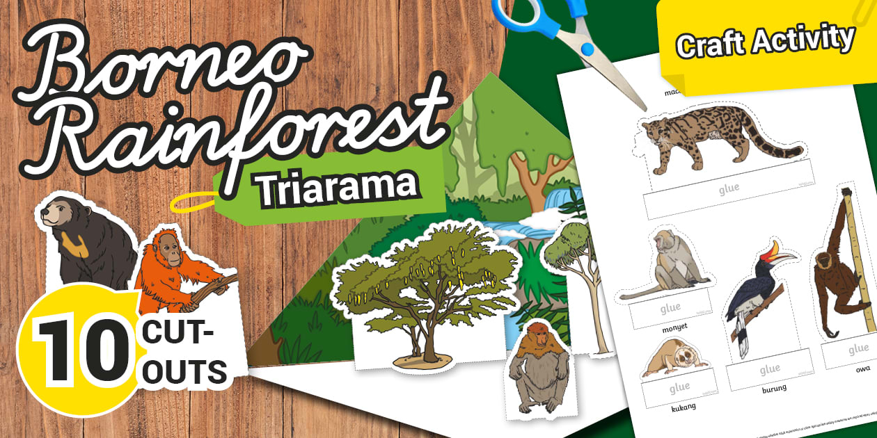 Borneo Rainforest Triarama Triorama Craft - Indonesian