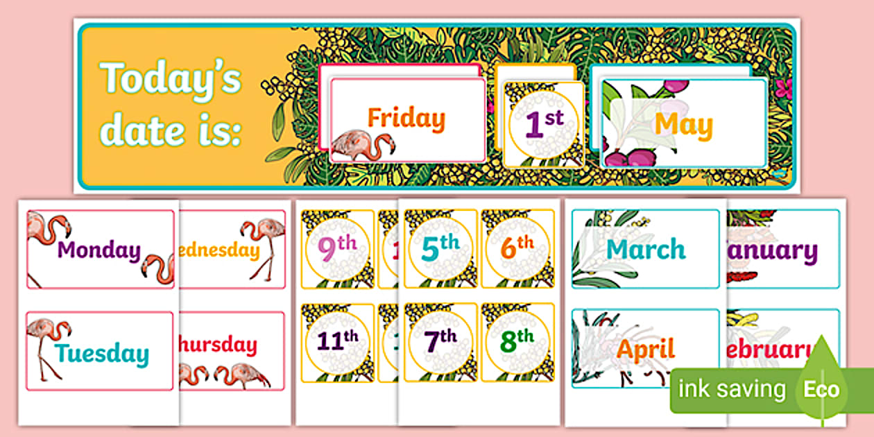 Tropical Flamingo Calendar (teacher made) - Twinkl