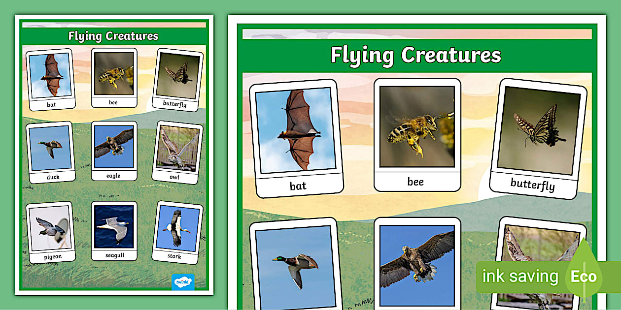 Flying Creatures Display Poster (teacher made) - Twinkl