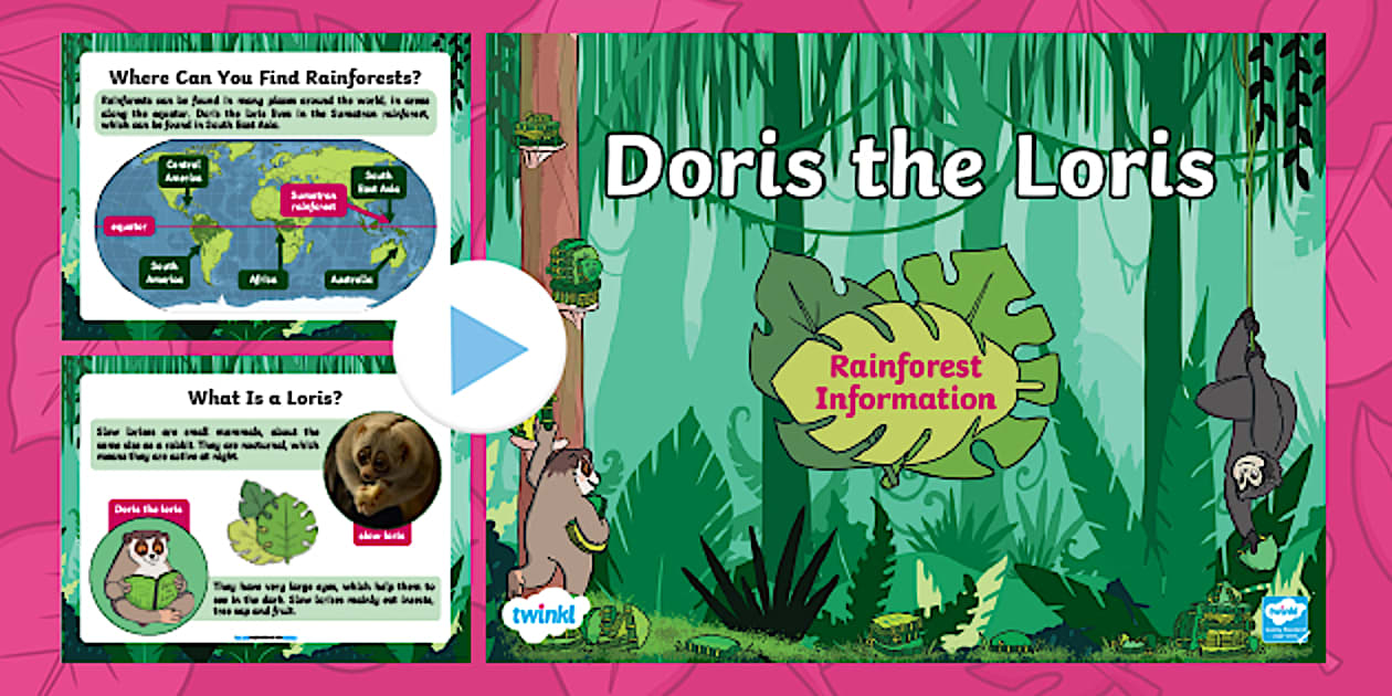EYFS Doris the Loris Rainforest Information PowerPoint