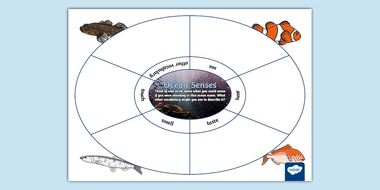 Ocean Senses Around the Table - Twinkl English