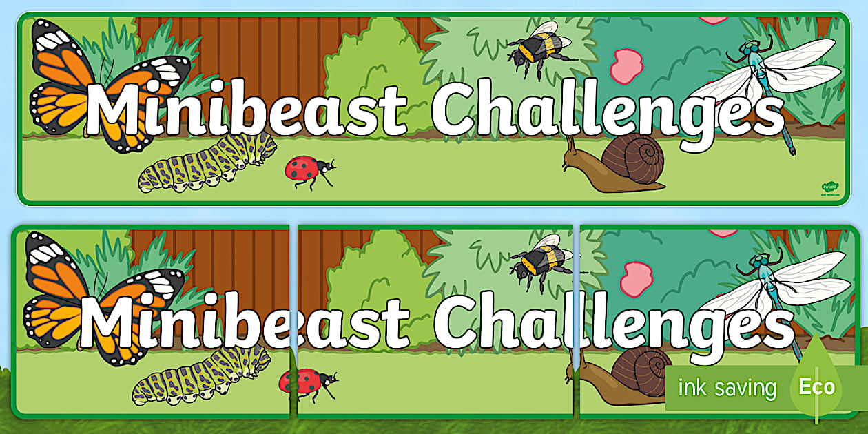 Minibeast Challenges Display Banner (teacher made) - Twinkl