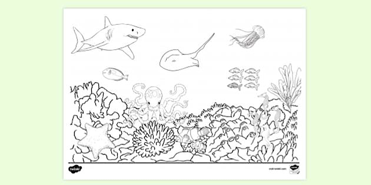 Ocean Life Colouring Page | Colouring Pages (teacher made)