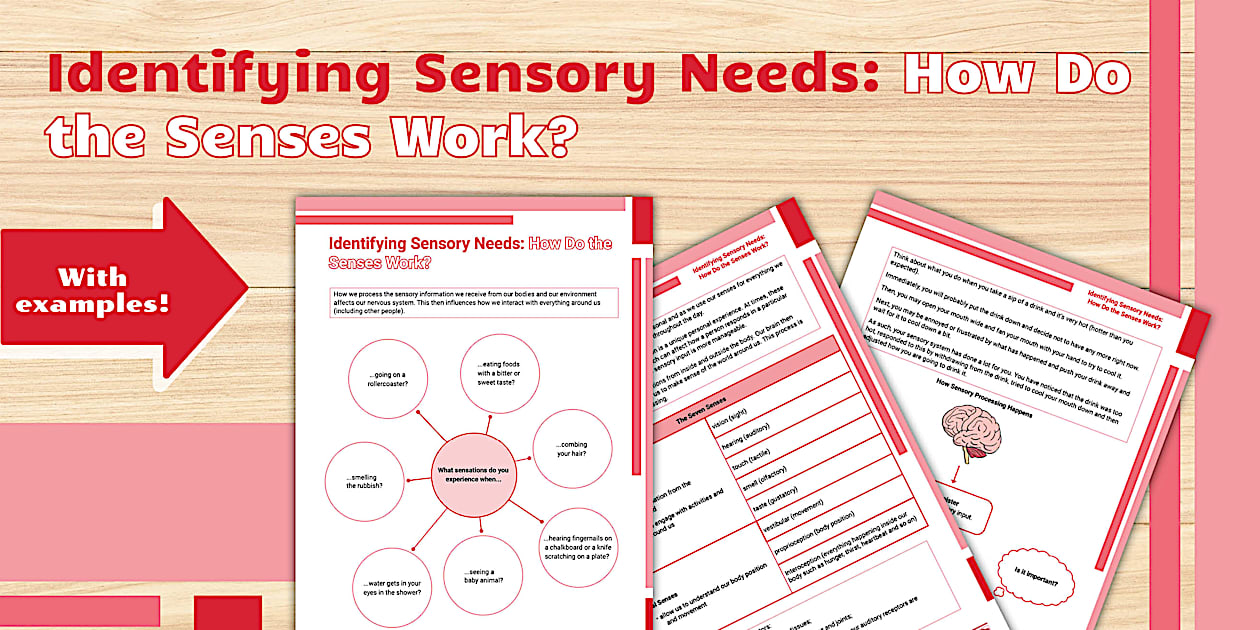Identifying Sensory Needs: How Do the Senses Work?