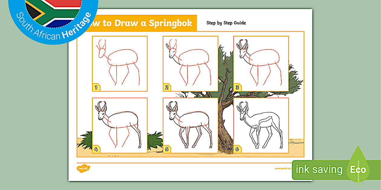 How to Draw a Springbok (teacher made) - Twinkl
