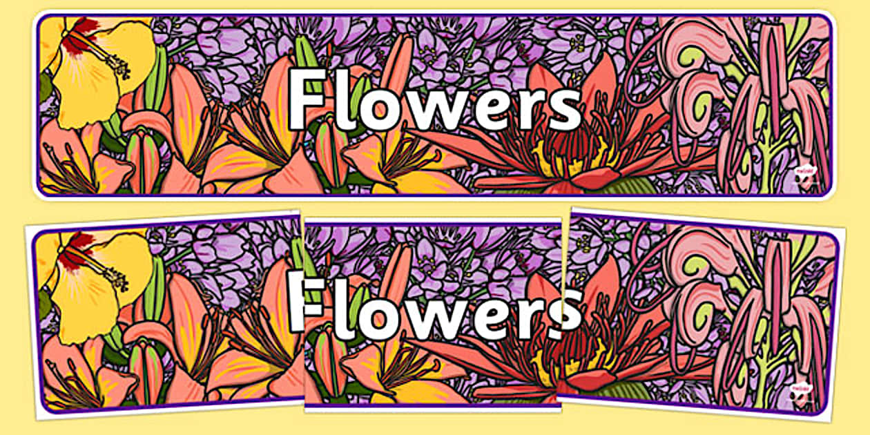 Flowers Display Banner (teacher made) - Twinkl