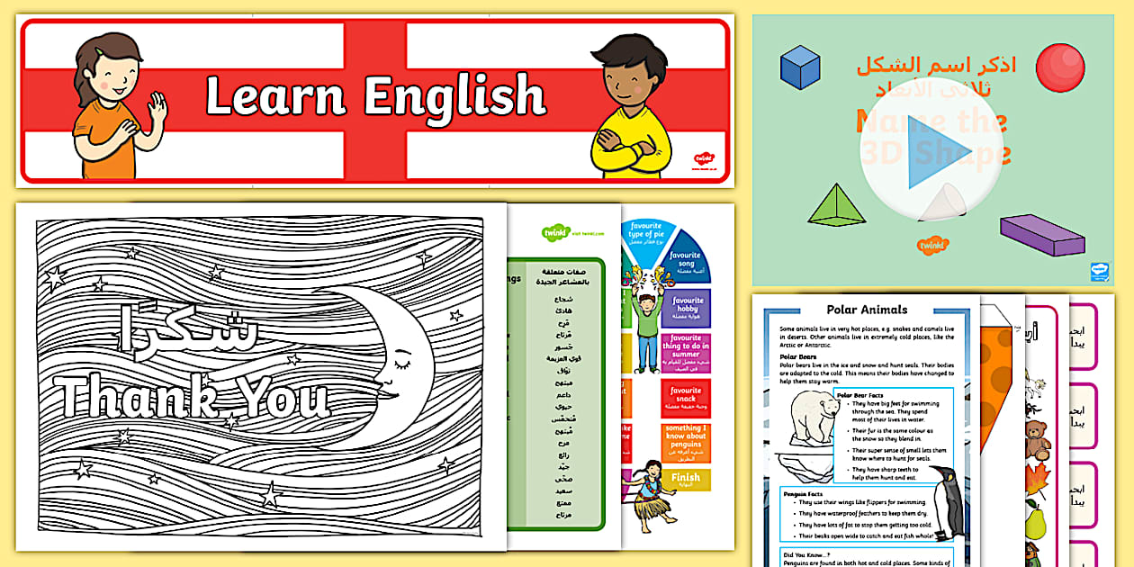 English and Arabic Worksheets - Taster Resource Pack