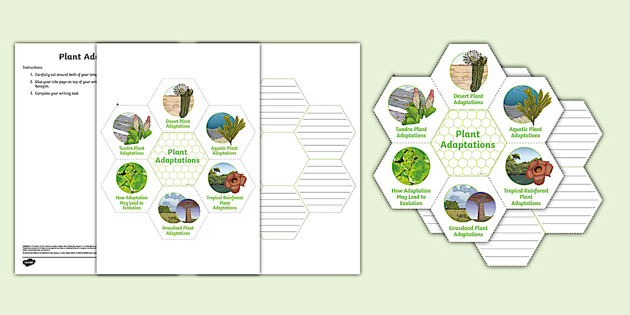 Plant Adaptations Hexagon Writing Template (Teacher-Made)