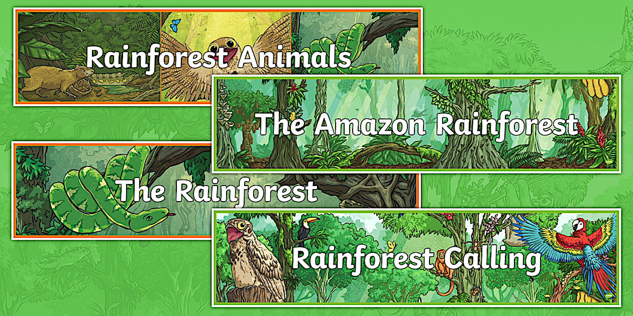 The Rainforest Topic Display Banner Pack (teacher made)