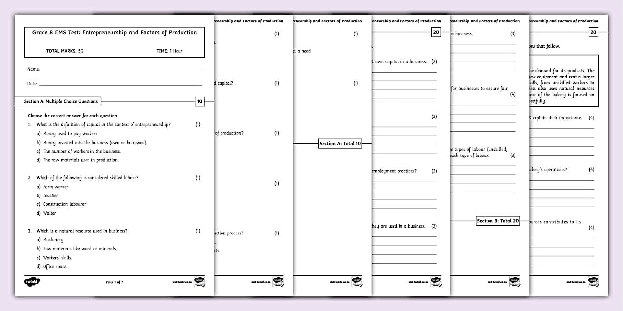 EMS Grade 8 Exam Papers And Memo Term 2 - Twinkl ZA - Twinkl