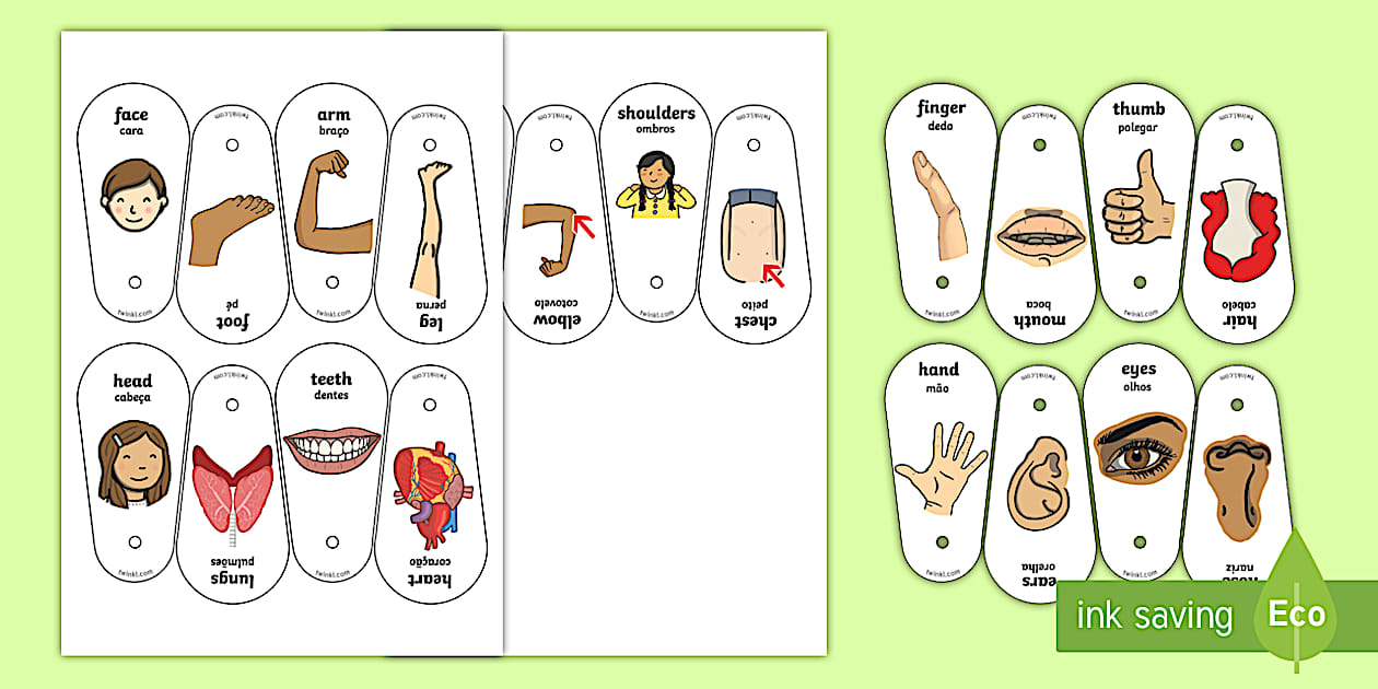 Editable Parts Of The Body Communication Fans English/Portuguese