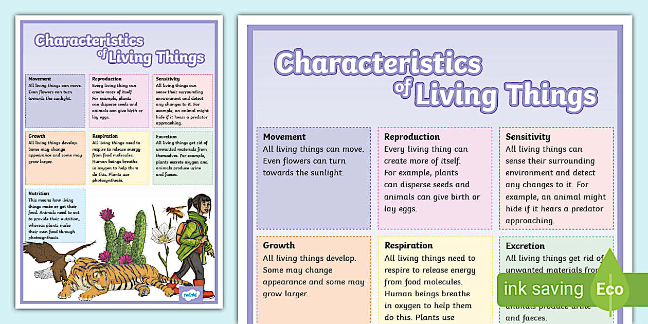 Characteristics of Living Things Display Poster - KS2