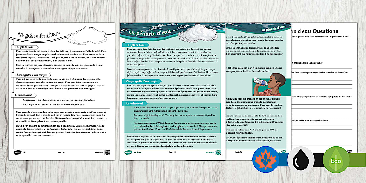 French Earth Day Activities | Twinkl (teacher made) - Twinkl