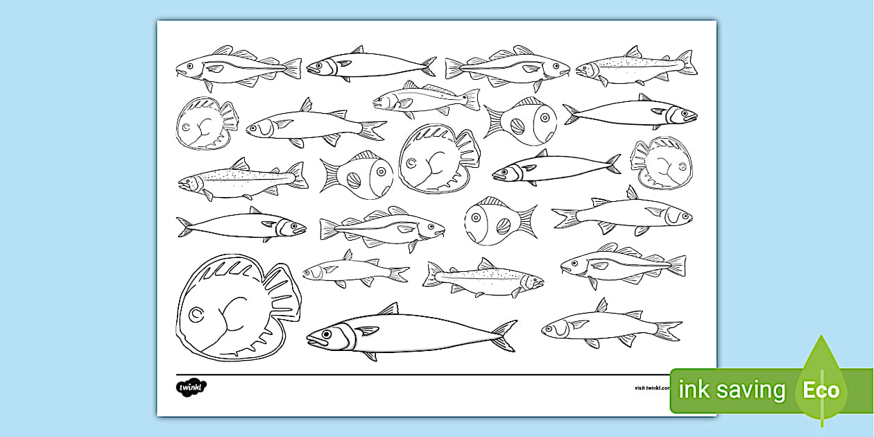 Fish Doodle Colouring Page (teacher made) - Twinkl