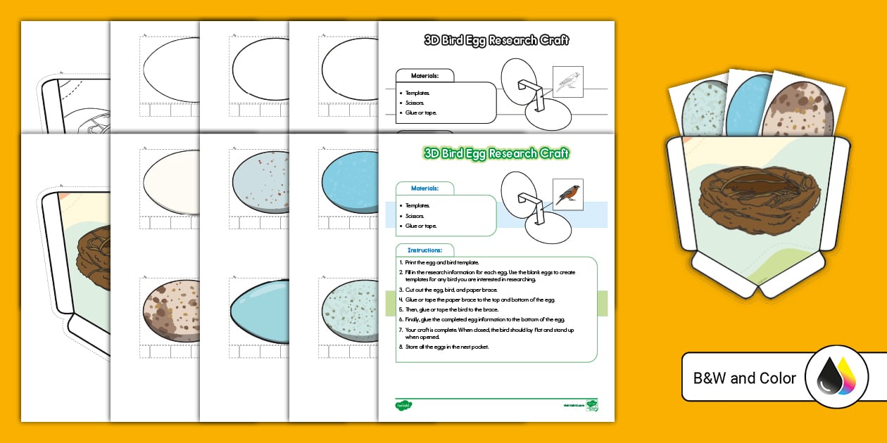 Bird Egg Craft Template for Kindergarten | Twinkl USA