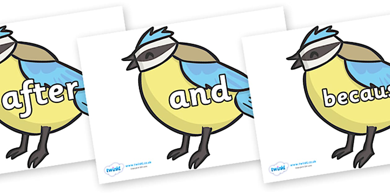 Cursive Connectives on Birds (teacher made) - Twinkl