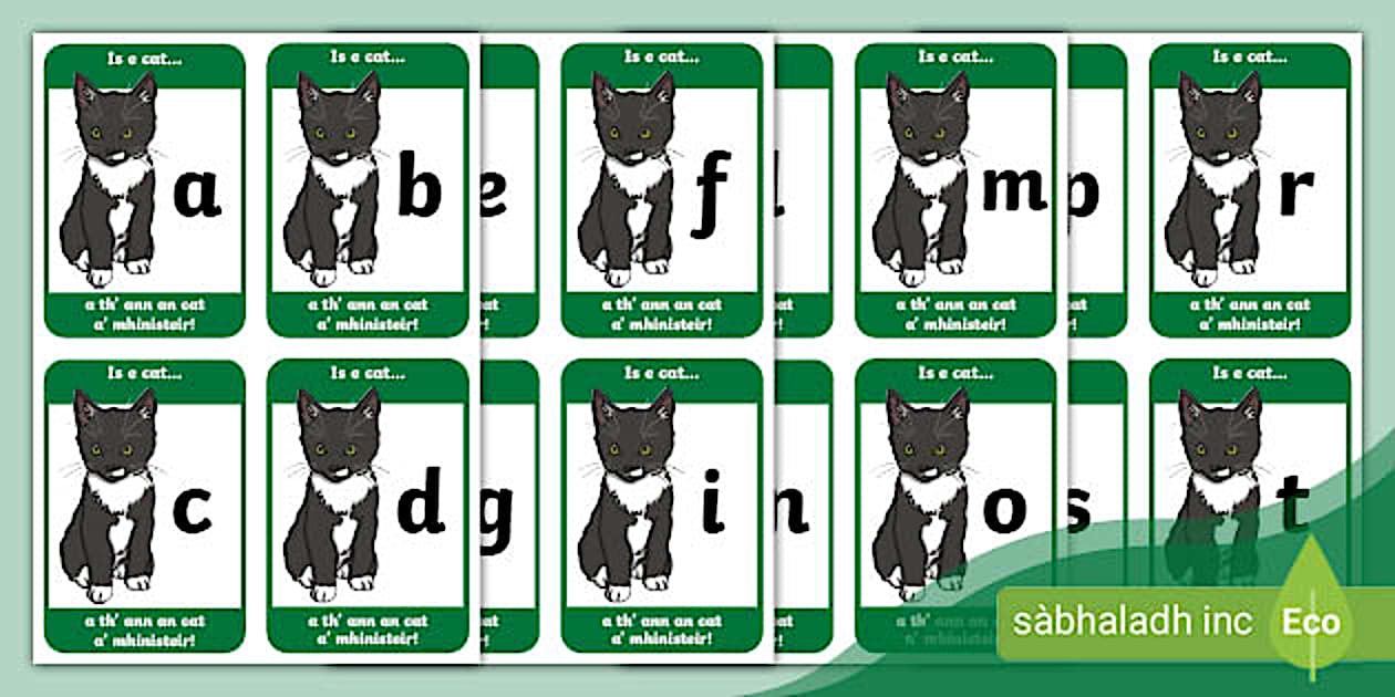 Priob-chairtean air Cat a' Mhinisteir – Geama – Spòrsail