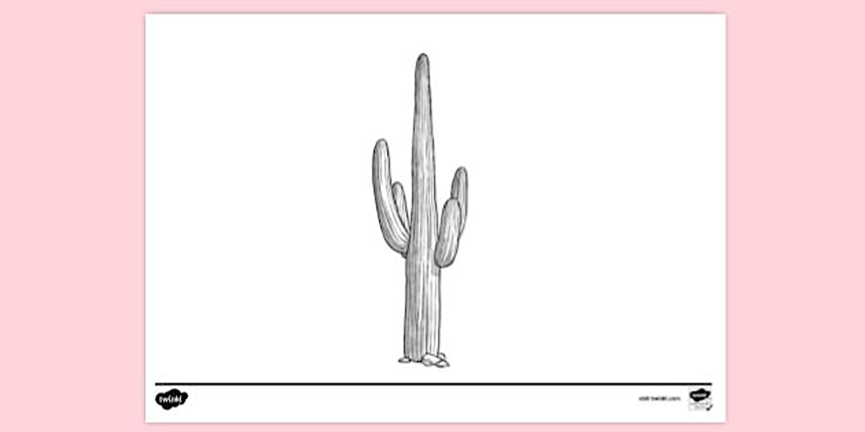 Desert Plants Colouring Sheet | Colouring Sheets - Twinkl
