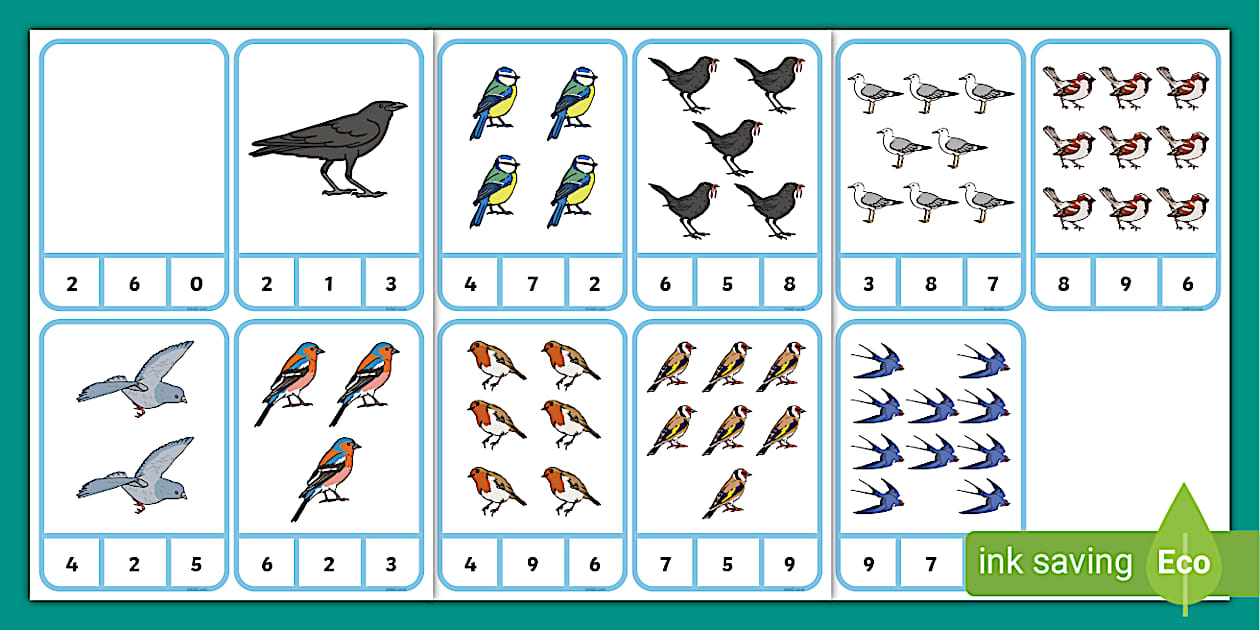 British Birds Number Recognition to 10| Bird Clothes Pegs