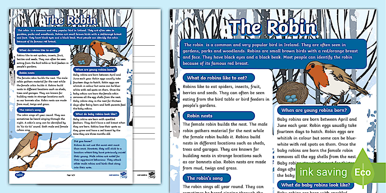 The Robin Reading Comprehension 3rd and 4th Class - Twinkl