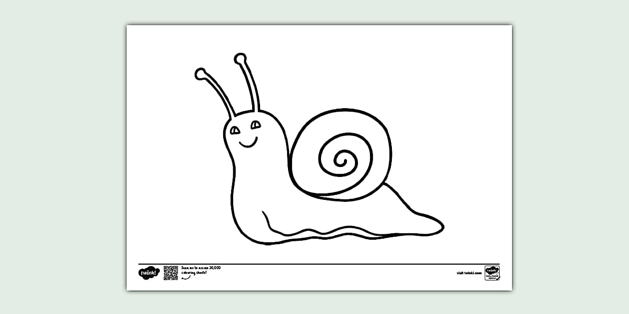 Snail Colouring Sheet | Colouring Sheets (teacher made)