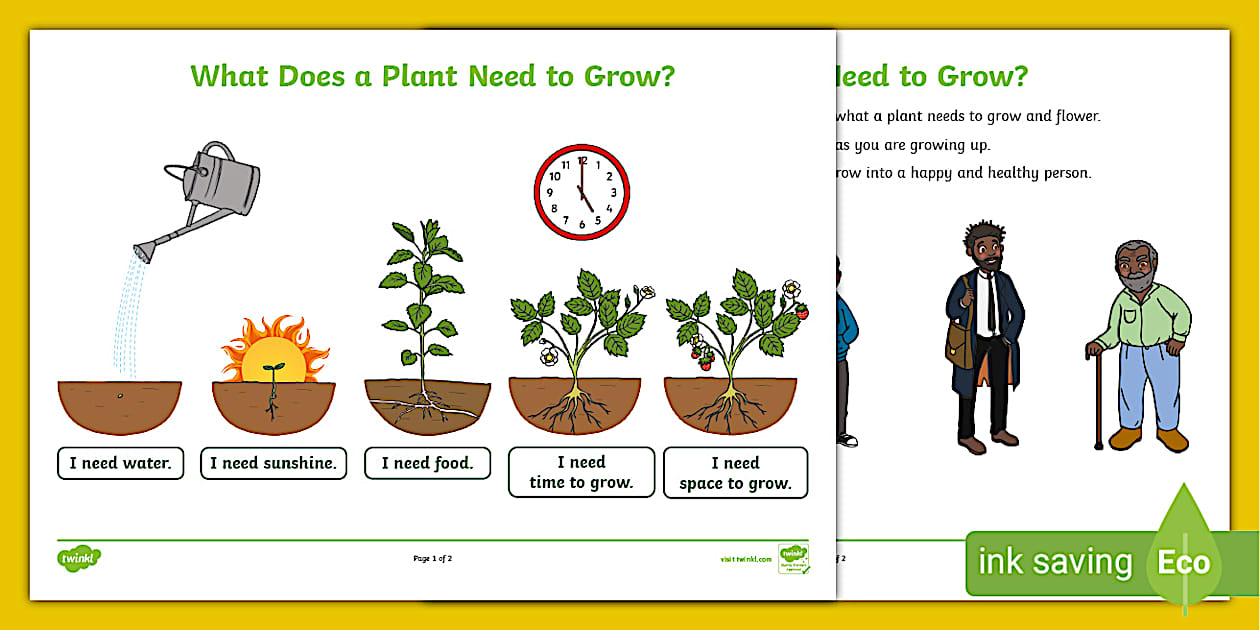 What Do You Need To Grow? Worksheet - Twinkl