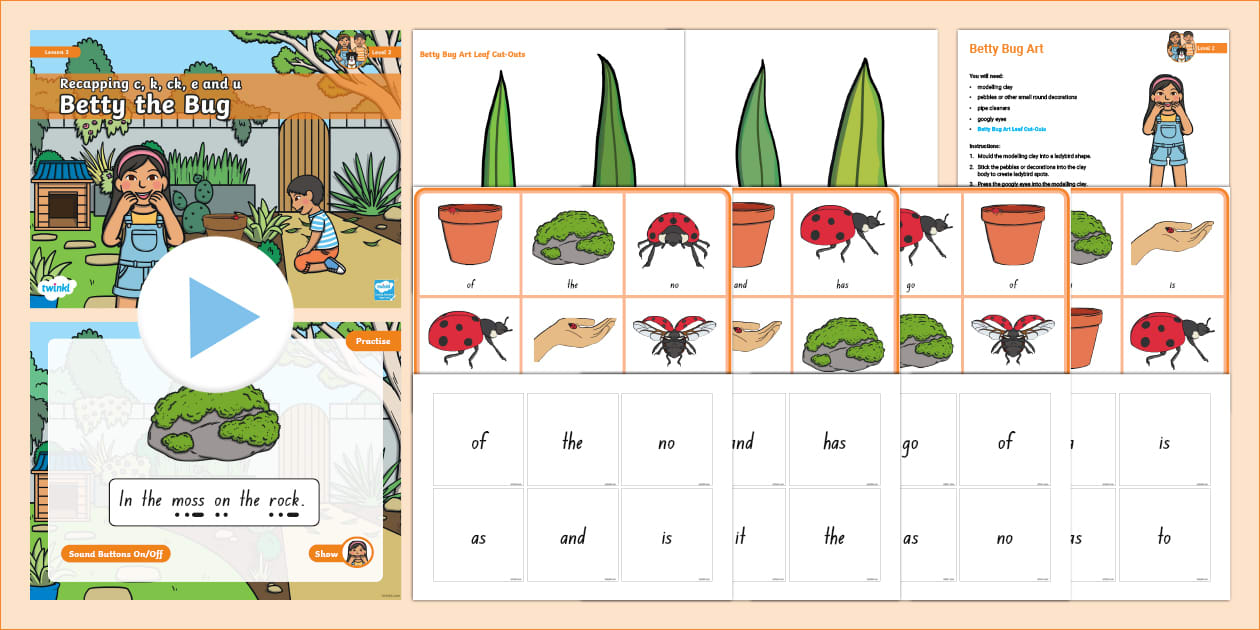 * NEW * Twinkl Phonics Recap 'c', 'k', 'ck', 'e', 'u' - Level 2 Week 7 ...