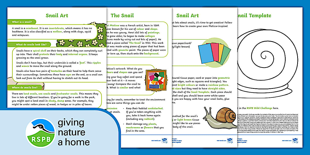 FREE! - Snail Art (Ages 5 - 7) (teacher made) - Twinkl