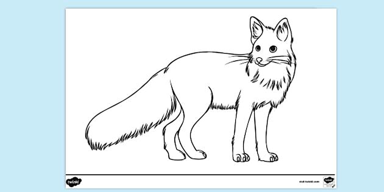 Printable Fox Colouring Page - Colouring Sheets - Twinkl