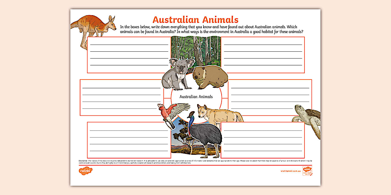 Australian Animals Mind Map (teacher made) - Twinkl