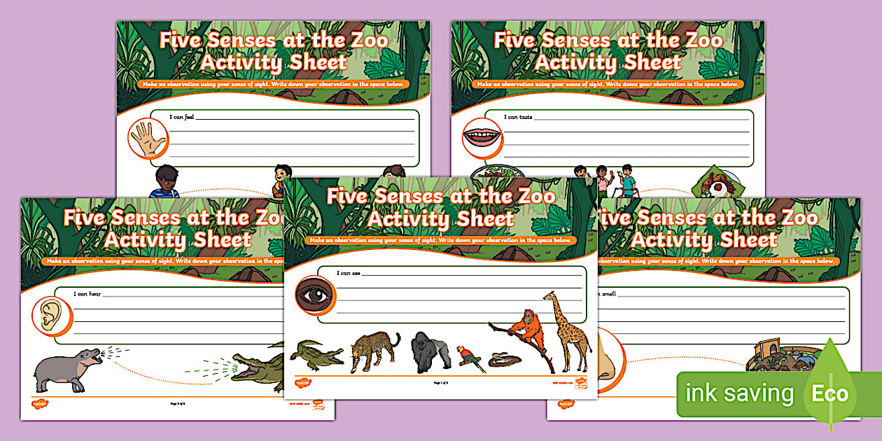 Five Senses at the Zoo Activity Sheet (teacher made)